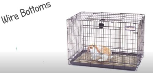 What Size Wire for Rabbit Cage Floor? {Are Wire Floors Ok For Rabbits ...